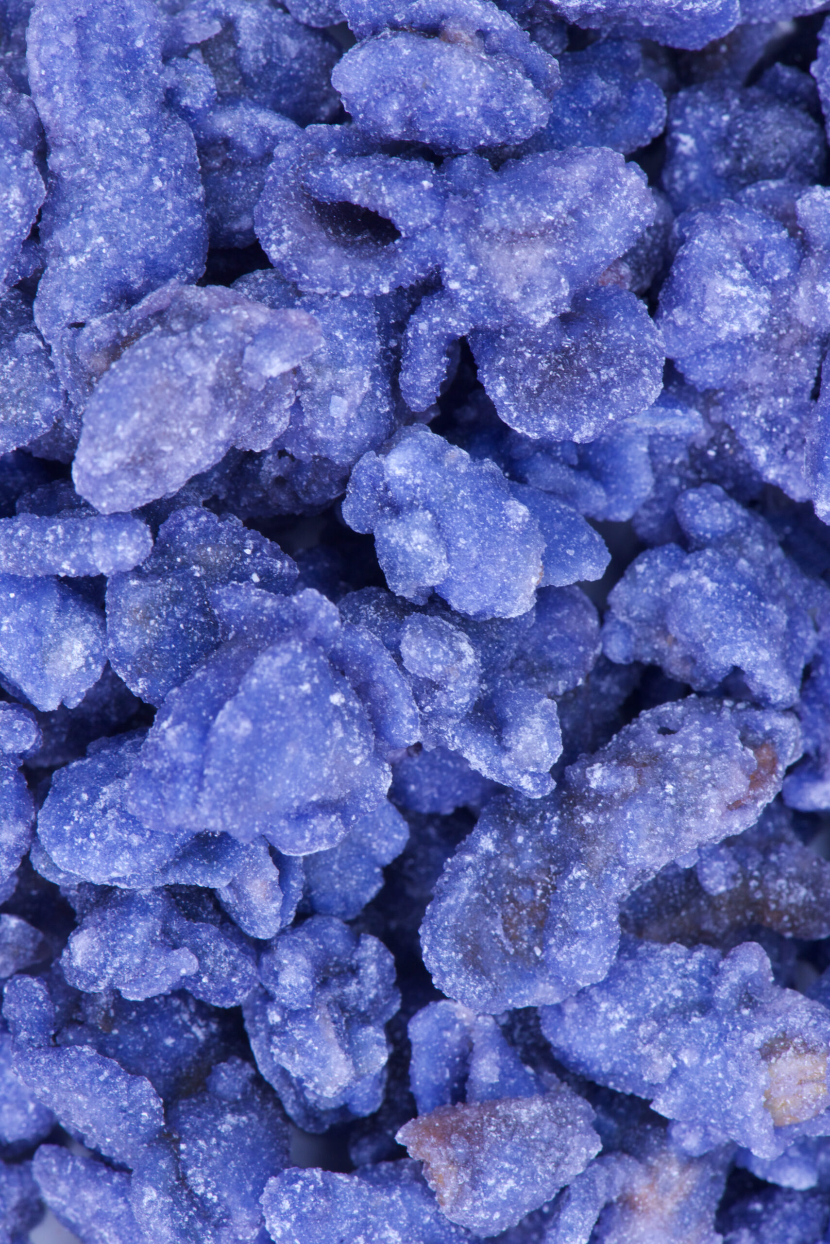 Candied Violet Petals - French Candied Flowers | India Tree